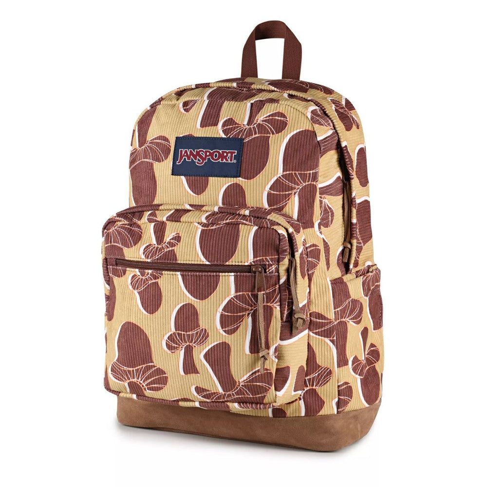 Right Pack Expressions Backpack | Jansport Canada